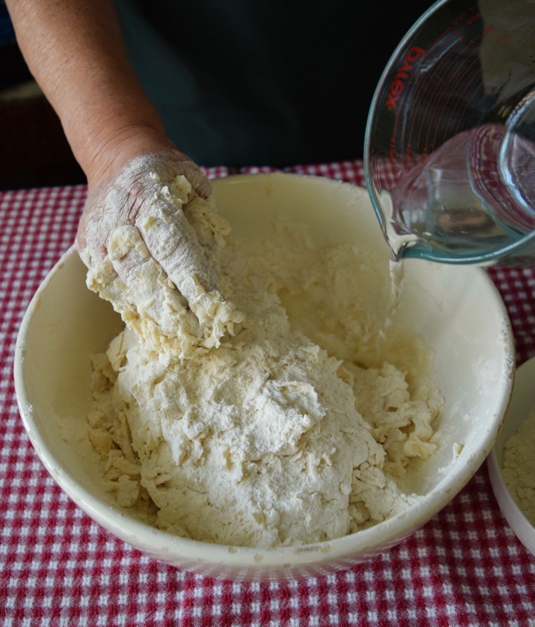 master dough – traditional Italian recipe for making Pizza, Focaccia ...