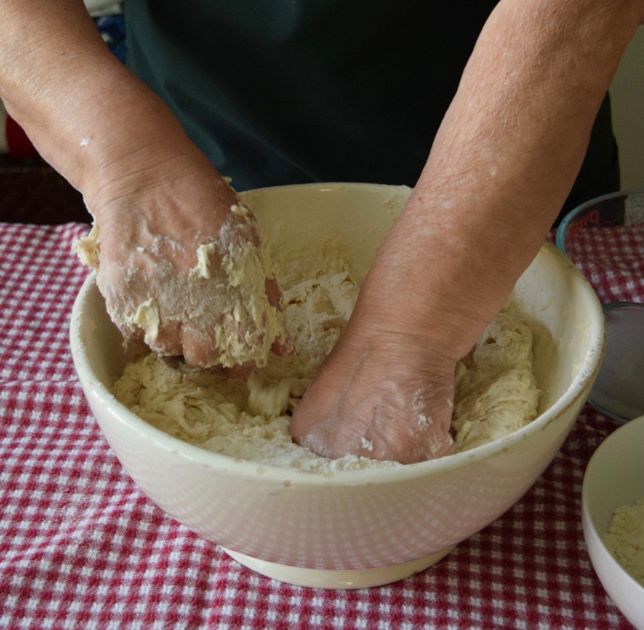 master dough – traditional Italian recipe for making focaccia, pizza ...