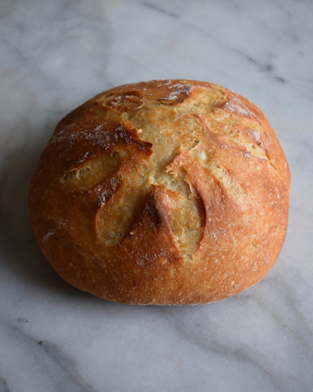 No-Knead Artisan Bread: easy. awesome. dutch oven method. – Glorified Hobby